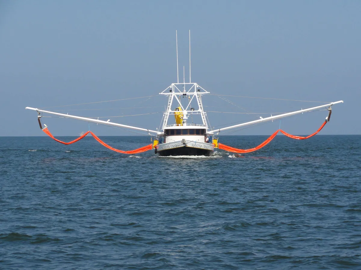 Lamorin tulos notkahti – Pomppu uusissa tilauksissa | Kauppalehti