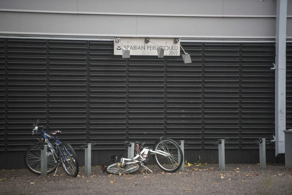 Kasvatuksen tutkija ja opettaja: Tämän vuoksi peruskoulun taso on ...