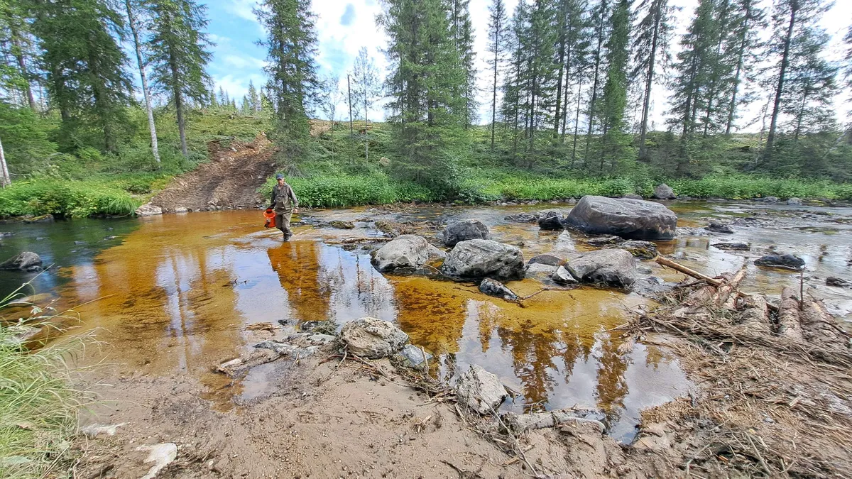 Hukkajoen kohu paisui: Näillä metsänomistajien yksinkertaisilla ...