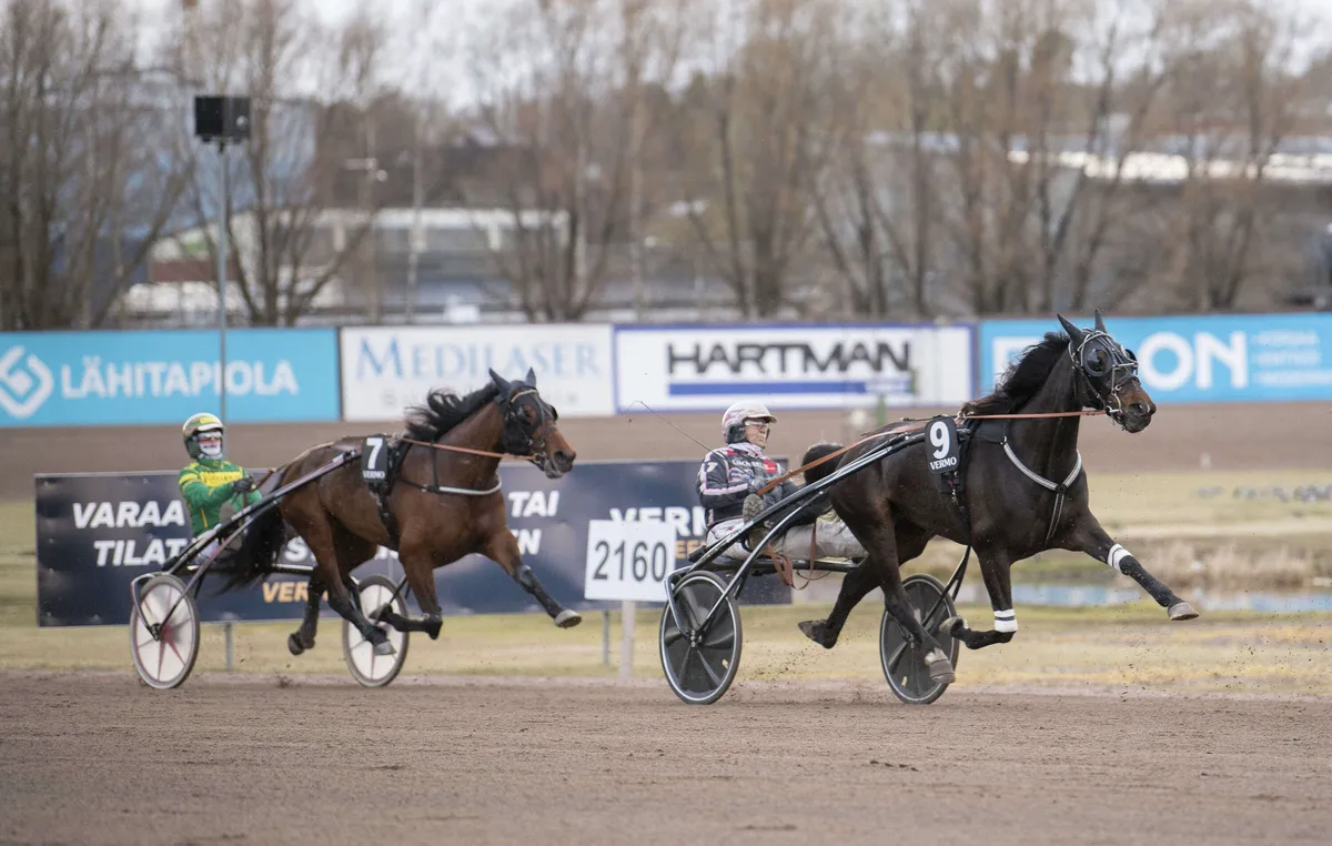IS: Vermon ravirata saanut yli 18 miljoonaa yritystukea – Lähes yhtä ...