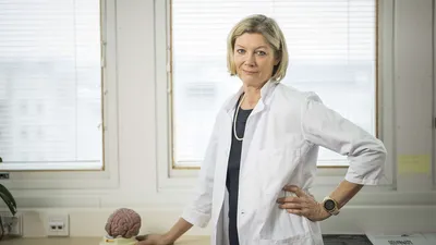 MS-Tauti | Kauppalehti