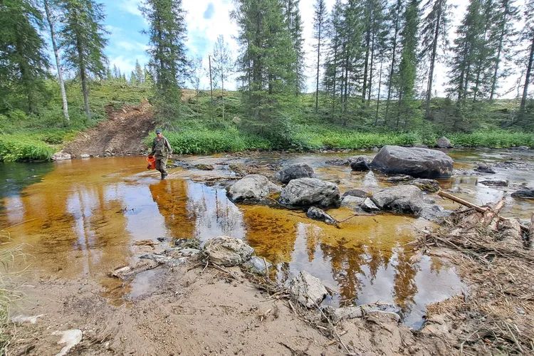 Stora Enso myöntää tietokatkon työmaallaan: Tätä mieltä raakkufiaskosta ...