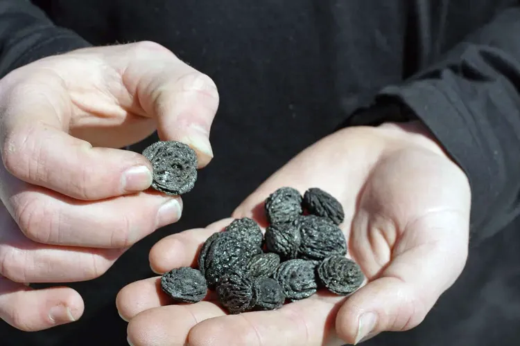 Suomalaisyritys sitoo pyrolyysiteknologialla hiilen maaperää ...