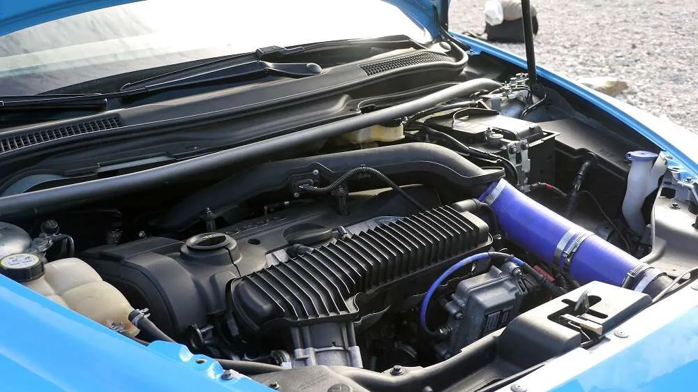 Soijasta ja kannabiksesta valmistetut auton osat houkuttelevat rottia ...