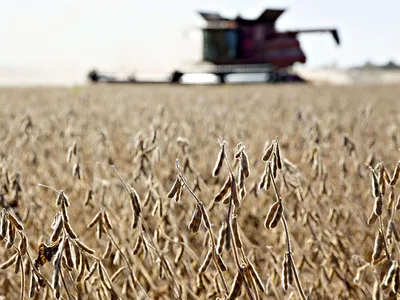 RAAKA-AINE: Soijan hinta laskee, jenkkiviljelijät saavat hintatukea ...