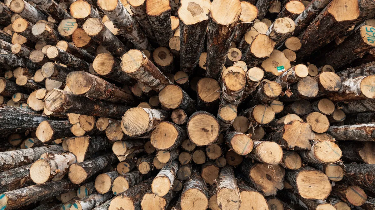 Metsäliitolle yhteisösakko työturvallisuusrikoksesta | Kauppalehti