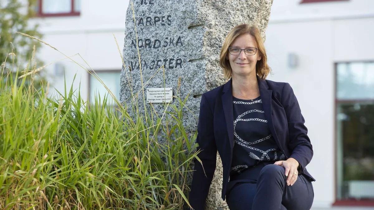 Jussi Halla-aho hyökkäsi pienen Närpiön kimppuun vajain tiedoin ...