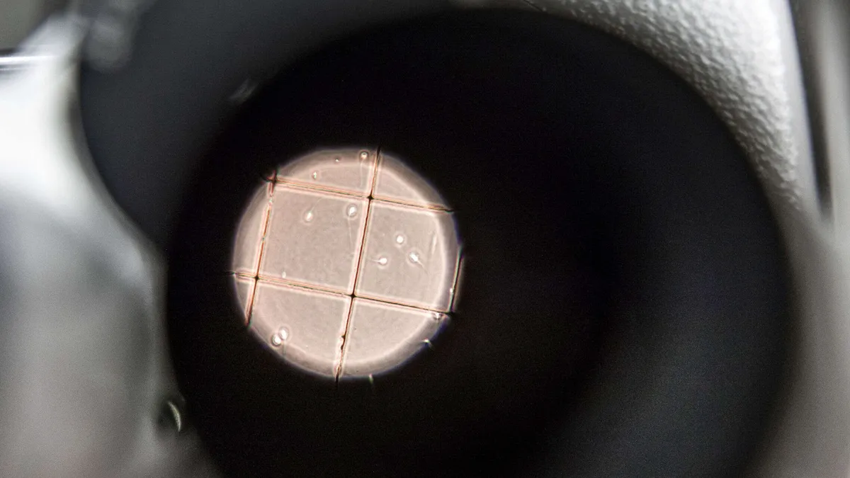 Lapsettomuuden syyt: urbanisaatio, epävarmuus ja valintojen meri ...