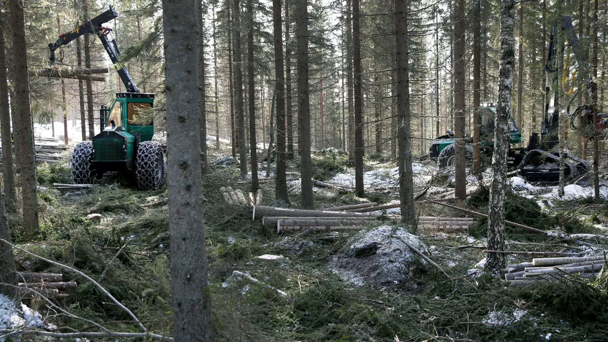 Näin paljon puun hinta nousee – Metsänomistajien myyntihalut kasvavat ...