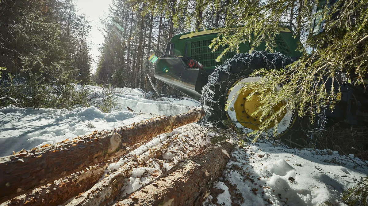 Tasainen rahavirta metsästä: Konkreettiset ohjeet – Laskelma: 15 000 ...