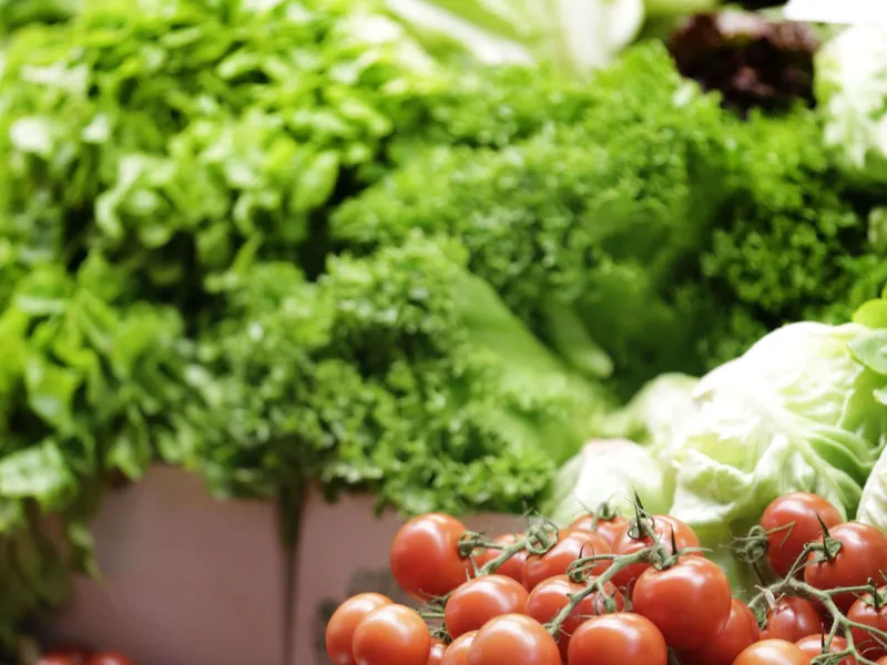 Salaattiyhtiö Fresh Servant ottaa vauhtia kasvuloikkaan – Sponsor ...