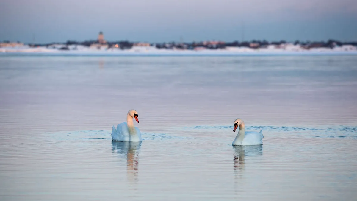 Design, ruoka ja meri: Helsinki hengästyttää kauneudellaan | Uusi Suomi