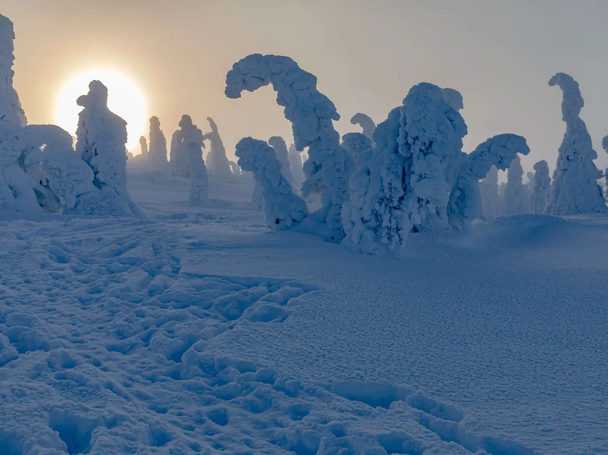 Talvi oli Sodankylässä yli 3 viikkoa lyhyempi kuin koskaan 113 vuoden ...