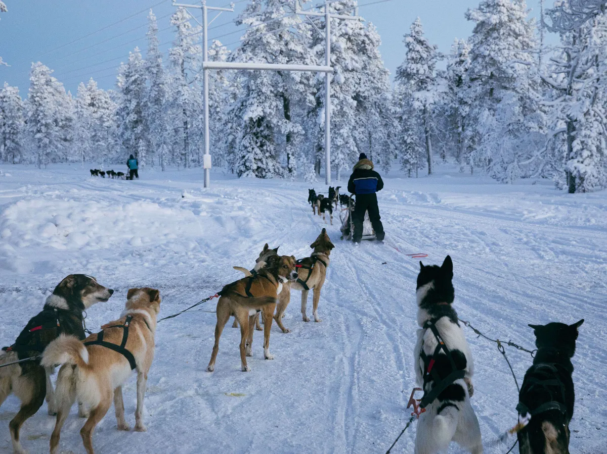 Lappi ja Uusimaa vetävät ulkomaisia turisteja – Yöpymisten määrä kasvoi ...