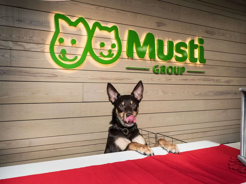 Musti Groupin ostotarjous herätti kritiikkiä yhtiökokouksessa – Varman ...