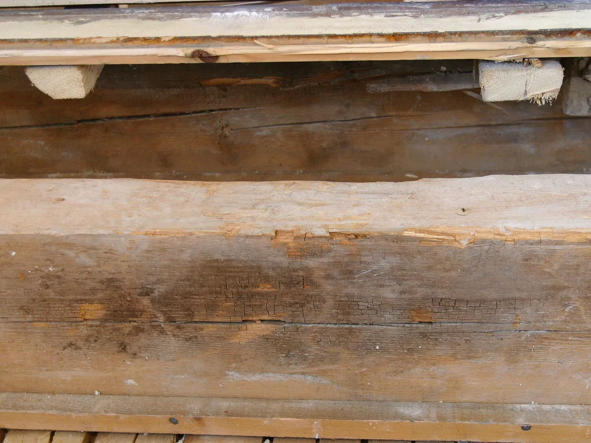 Onko talossasi rossipohja? Se on riski, sanoo Raksystems – 1800-luvulta ...