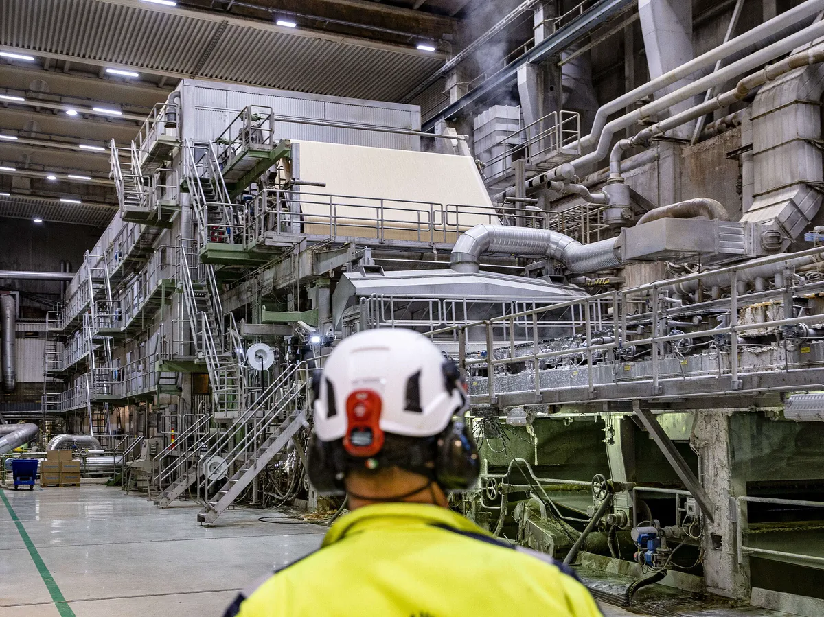 Sijoitusvihjeet: Ota UPM:ää osakesalkkuun – ”Sektorin ehdoton priimus ...