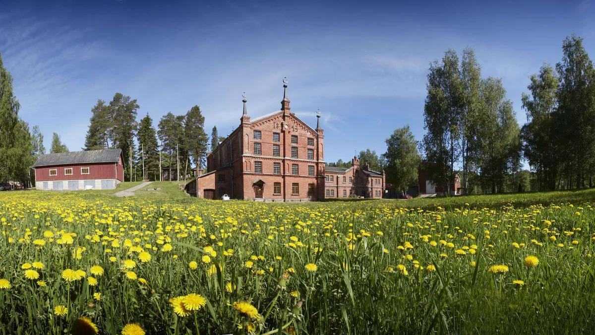 Maria Mattson seisoi pahvitehtaassa 52 vuotta samalla paikalla ja oppi ...