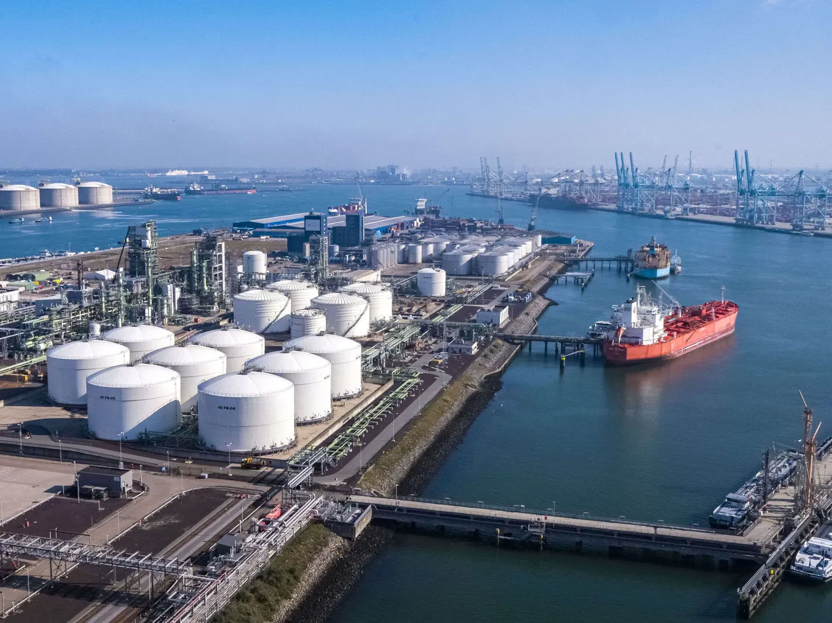 Nesteen osinko ja ”älyttömän kova kate” kielivät vahvasta asemasta ...